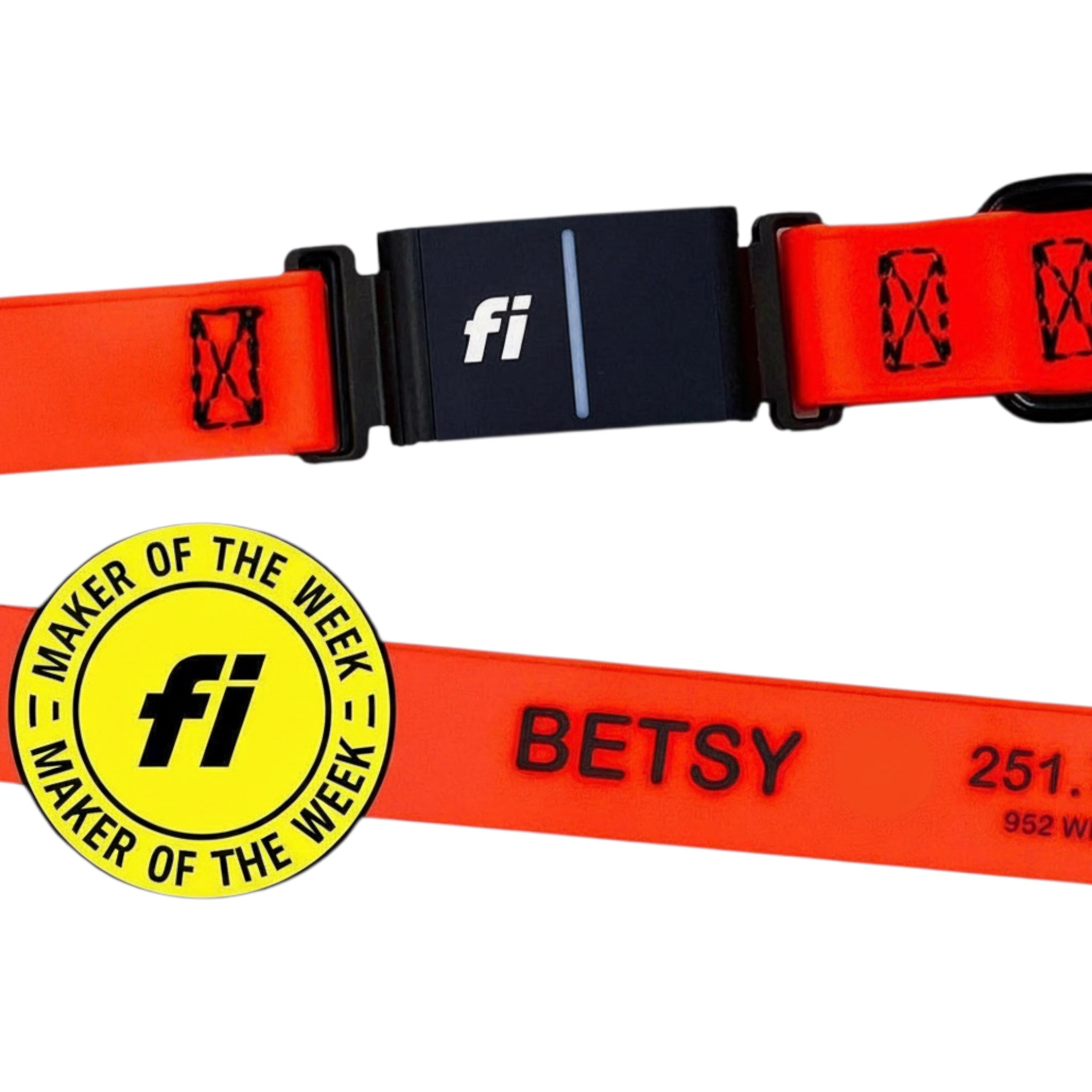 Fi Series 3/3+ Compatible Snap Collar (Fits 12-15" Neck) - Personalize ...